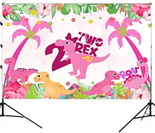 Amazon.com : BEOXAGAR Pink Girl Dinosaur Birthday Backdrop, Two Rex ...