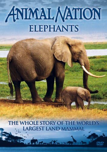 Animal Nation: Elephants - The Whole Story [DVD]: Amazon.co.uk: DVD ...