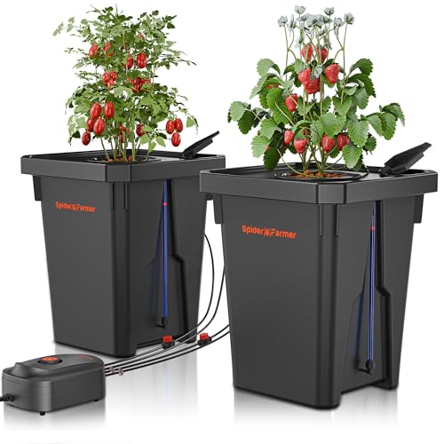 Dwc System – Die 15 besten Produkte im Vergleich & Angebote ...