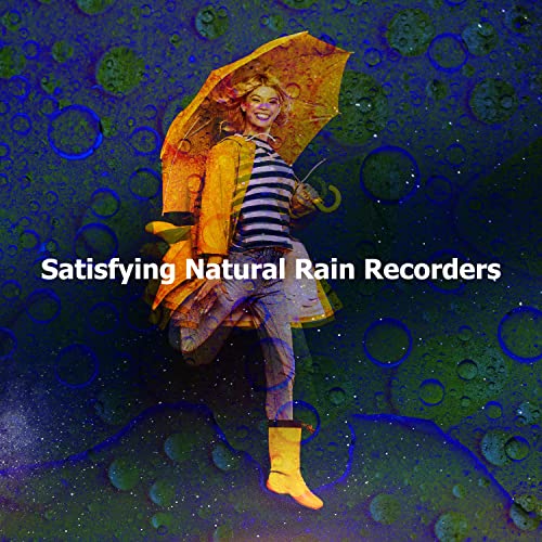 Amazon.com: Satisfying Natural Rain Recorders : Natural Rain Recorders ...