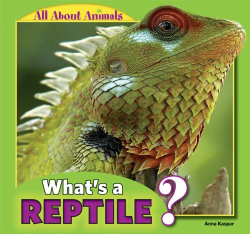 What's a Reptile? (All About Animals): Kaspar, Anna: 9781448861347 ...