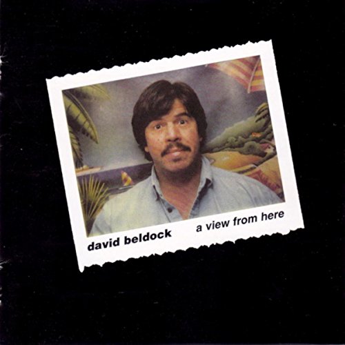 Amazon.com: A View from Here : David Beldock: Digital Music