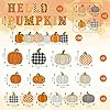 Amazon.com: Whaline 92Pcs Hello Pumpkin Bulletin Board Kit Plaid ...