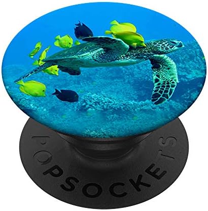 Amazon.com: Sea Turtle Decor Ocean Life Creatures Beach Blue PopSockets ...