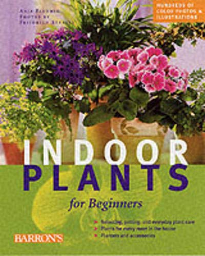 Indoor Plants for Beginners: Plant Care Basics, Choosing House Plants ...