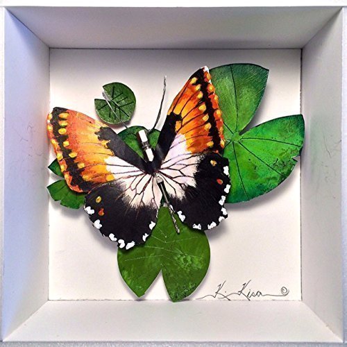 Amazon.com: "Giant Orange Morpho" - Butterfly Assemblage in a Shadowbox ...