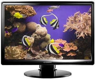 Amazon.com: Hyundai IT America W220D 22-Inch Wide LCD Monitor : Electronics