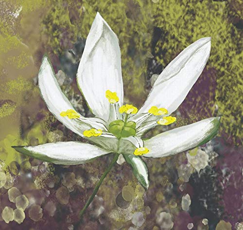 New Anjani Art Gallery White Blooming Flower Unframed Printed Canvas ...