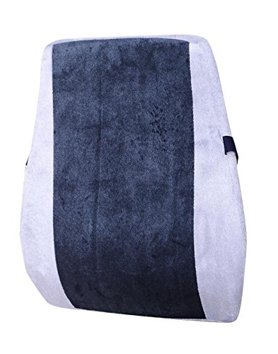 Bone Rap Ventilation Back Rest with Lumbar Support : Amazon.in: Health ...