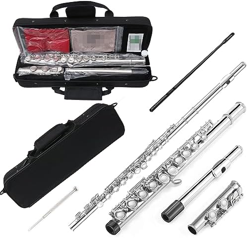Amazon.com: 16 Hole Flute C key Flute With Rod Case Gloves Cleaning ...