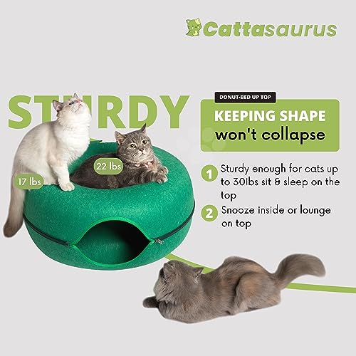 Snapklik.com : CATTASAURUS Peekaboo Cat Cave For Multiple Cats & Large ...