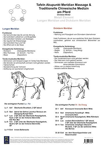 Metall Element. Lungen und Dickdarm Meridian.: AMM und TCM am Pferd ...