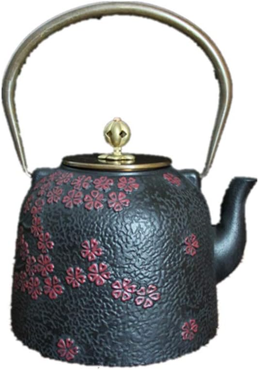 Amazon.com | Cast Iron Tea Kettle Pig Iron Tea Pot Japanese Style Cast ...