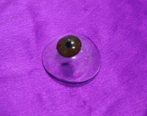 SCIENTIFIC_HUB Prosthetic Eye Transparent Sclera Shell,Transparent ...