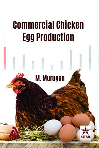 Commercial Chicken Egg Production: M Murugan: 9789388982856: Amazon.com ...