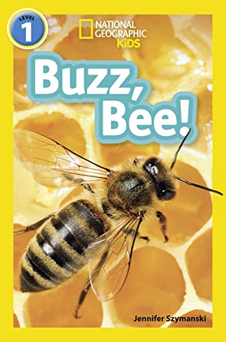 Bee Books for Toddlers and Preschoolers - Rainy Day Mum