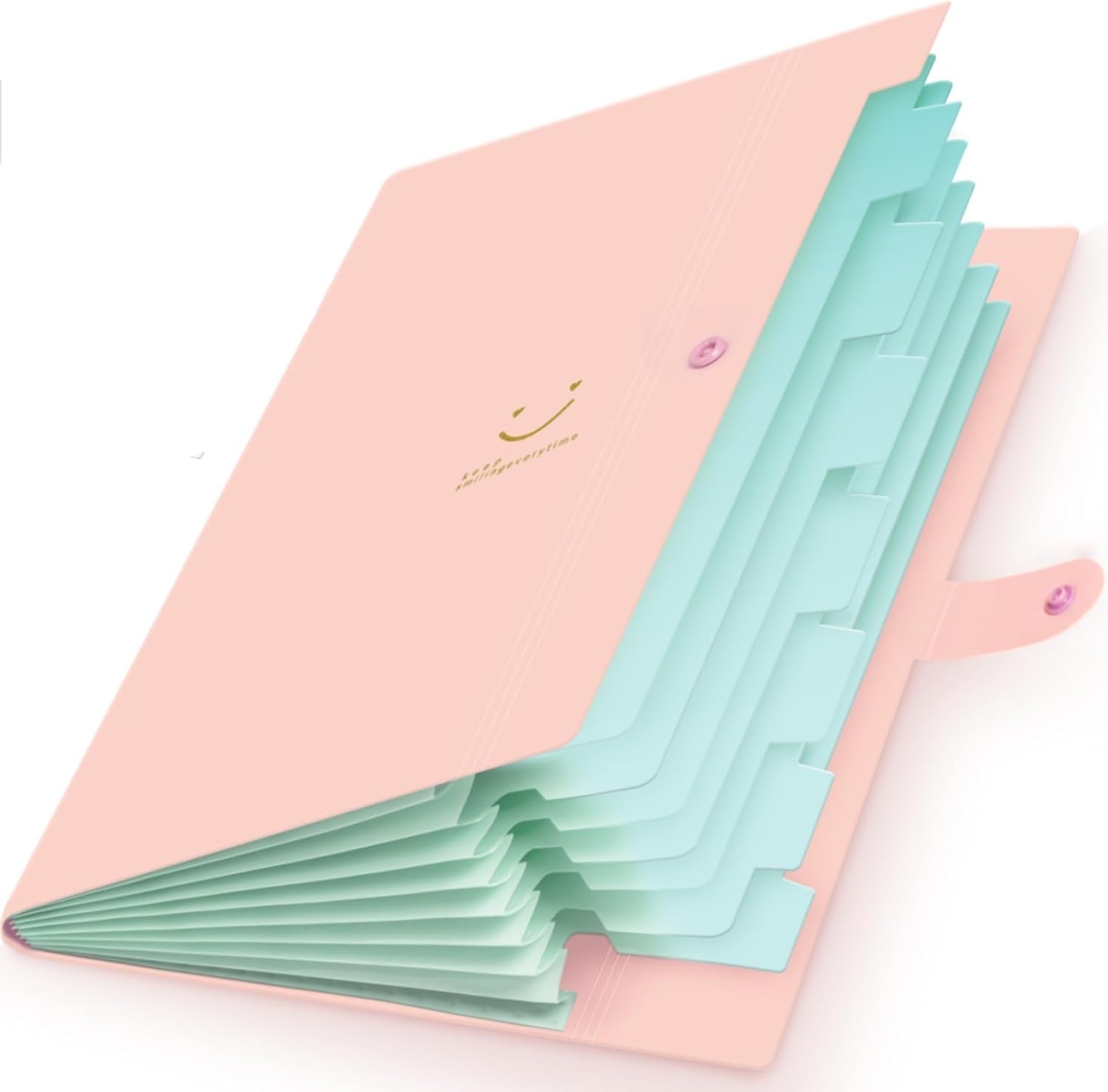 Corslet File Folders for Documents A4 Letter Size, 5 Pocket Certificate ...