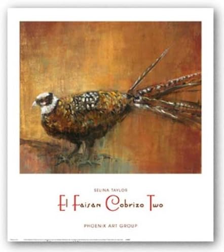 Amazon.com: El Faisan Cobrizo Two by Selina Taylor 14.375"x17.25" Art ...