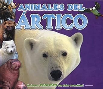 DATOS ESCONDIDOS: ANIMALES DEL ARTICO | Amazon.com.br