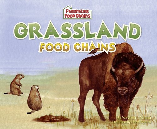 Grassland Food Chains (Fascinating Food Chains): Mataya, Marybeth L ...