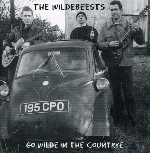 Go Wild in the Country : Wildebeests, Wildebeests: Amazon.in: Books