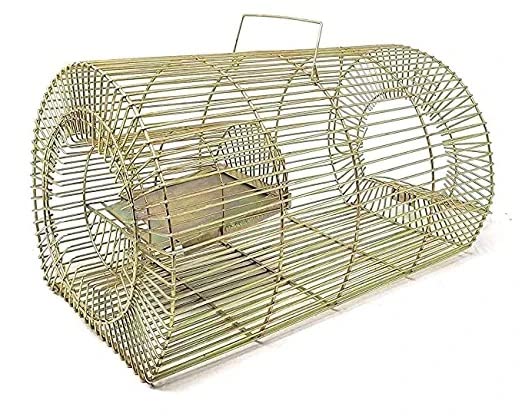 EaglesFord® Rat/Mouse/Rodent Trap Cage Rustic Copper (Dholak Trap ...