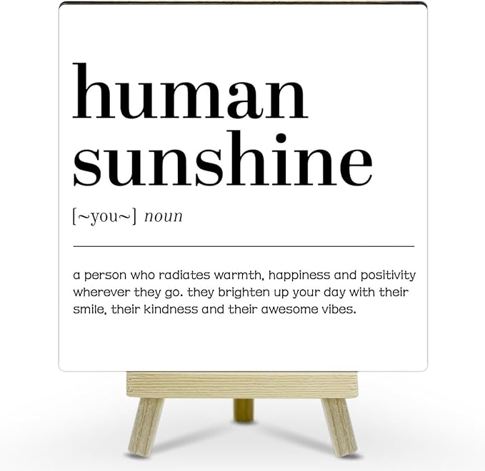 Amazon.com: Home Office Decor, Human Sunshine Definition Desk Decor ...