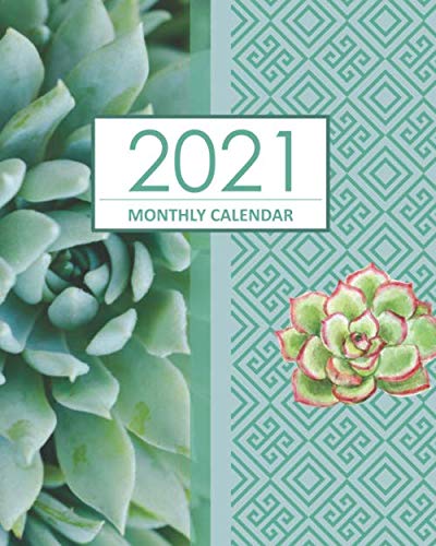 2021 Monthly Calendar: Desk Diary 2021 - Appointment Diary 2021 - Daily ...