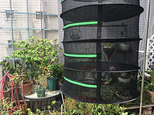 XXL Herb Drying Rack,Drying Rack Herbs for Plant Bud Seed,Plant Racks ...