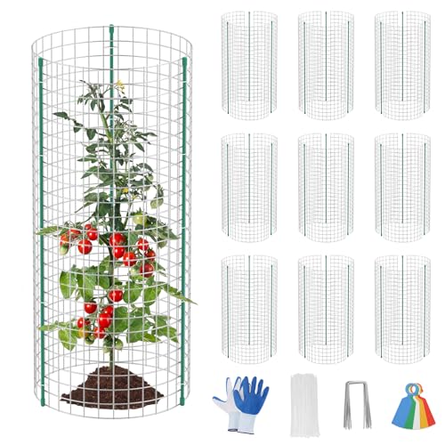Best Hot Caps for Tomato Plants: Top Protective Covers for Bountiful ...