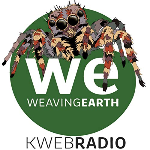KWEB — Weaving Earth Radio : Weaving Earth: Amazon.in: Books