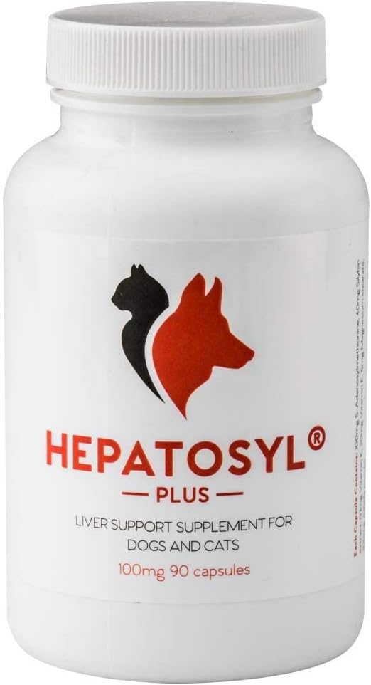 Hepaticare Capsules, 200 mg, Pack of 60 : Amazon.co.uk: Health ...