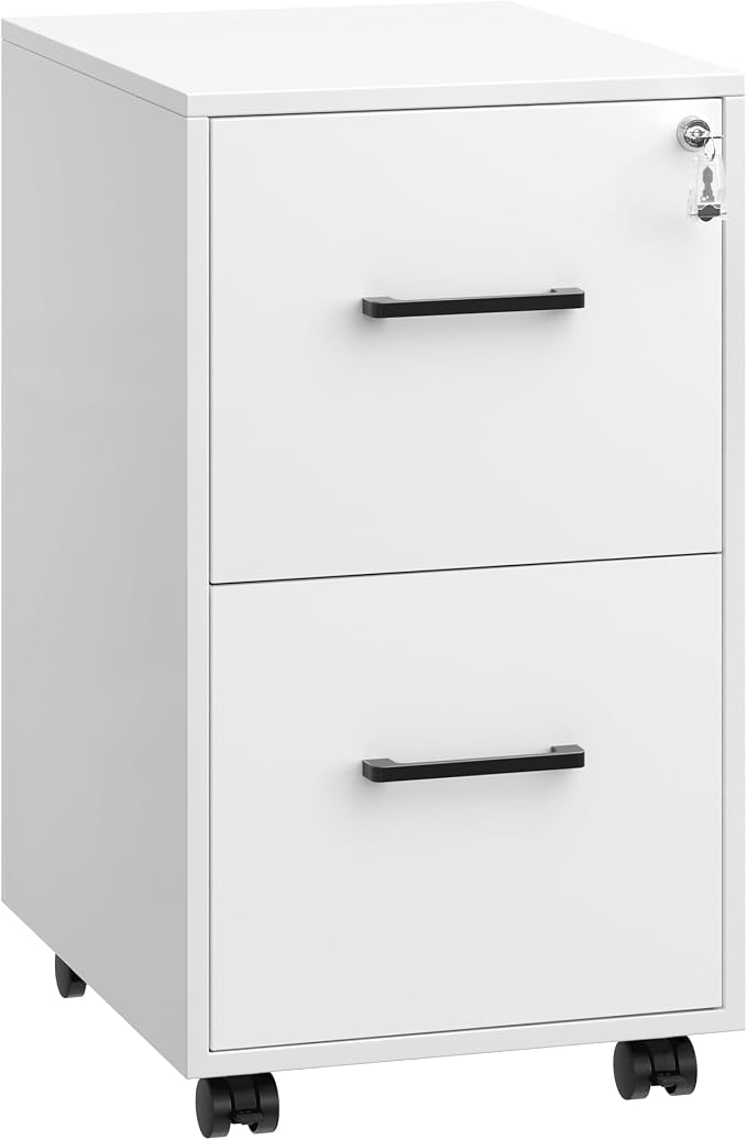 Amazon.com: SONGMICS File Cabinet, Pre-Assembled Except Wheels and ...