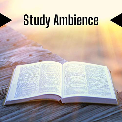 Amazon.com: Study Ambience: Relaxing Library Sounds for Deep ...
