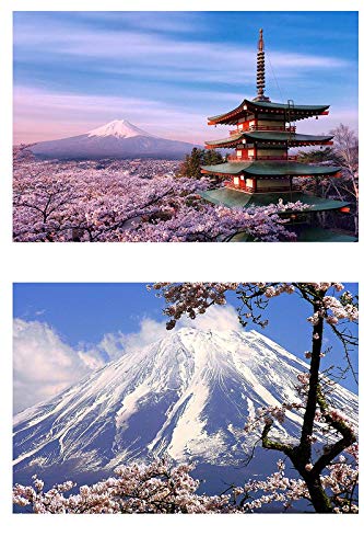 Nature Wall Poster Combo|Beautiful Scenery Poster for Living Room ...