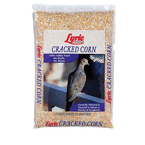 Snapklik.com : Lyric 26-47272 Bird Feed