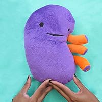 Amazon.com: I Heart Guts Kidney Plush - When Urine Love! - 9" Cuddly ...