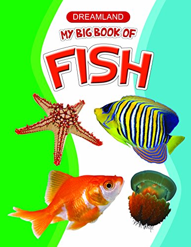 My Big Book of Fishes eBook : Dreamland Publications: Amazon.in: Kindle ...