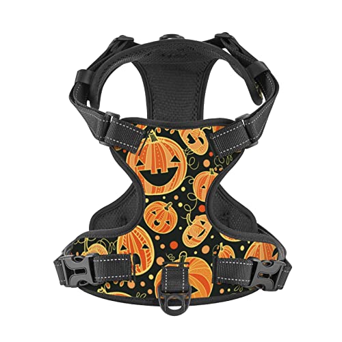 Dog Harnesses for Fall