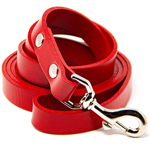 5 Fascinating Facts About Dog Leashes and Their History!