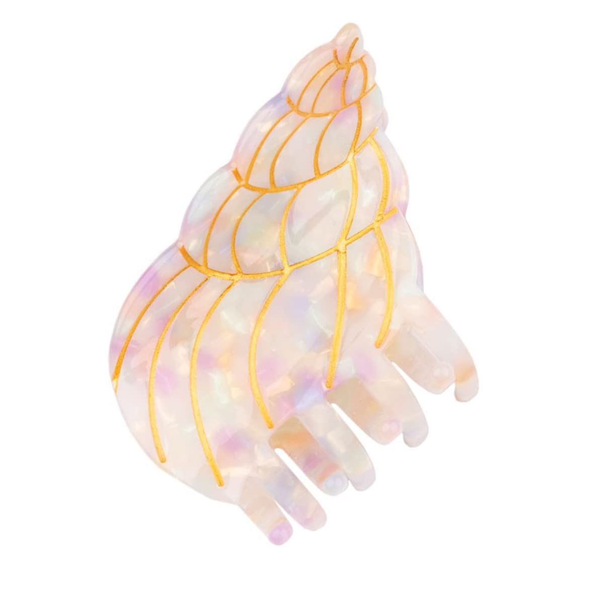 Amazon.com : Conch Claw Clip,Dog Claw Clip,Acetate Hair Clips,Small ...