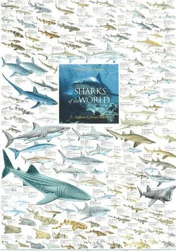 KP Sharks of The World - Inshore Coastal Waters: KP: 9781919866505 ...