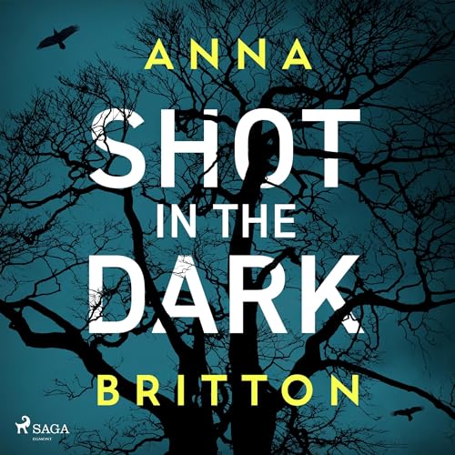 Amazon.com: Shot in the Dark: Detectives Martin and Stern 1 (Audible ...