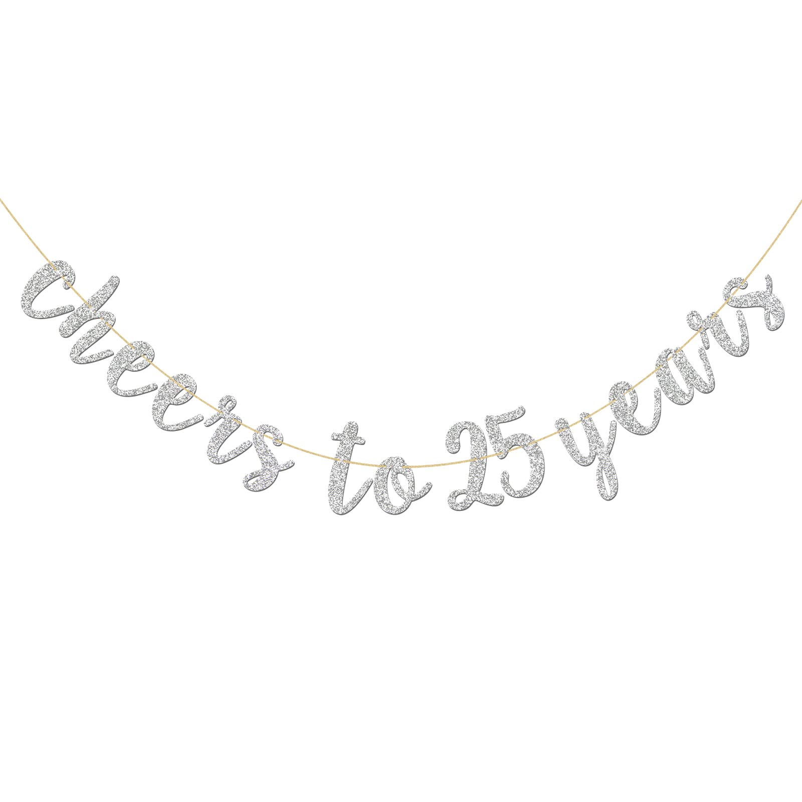 Amazon.com: Glitter Silver Cheers to 25 Years Banner - 25th Birthday ...