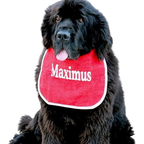 Amazon.com: Personalized dog slobber bib/bandana - High quality ...