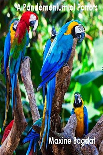 A Pandemonium of Parrots - Kindle edition by Bagdat, Maxine. Literature ...
