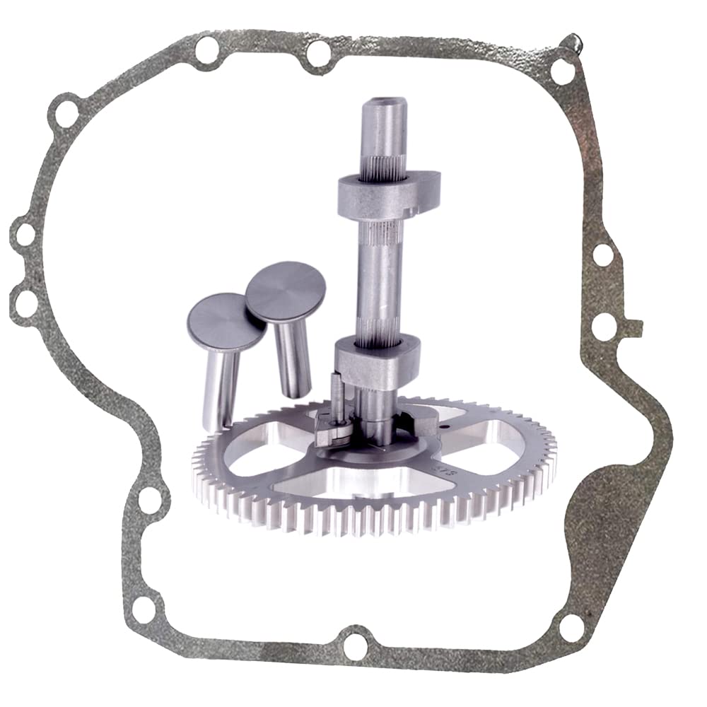 Amazon.com: RYTIME 793880 84005207 Camshaft Compatible With Briggs and ...