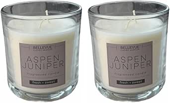 Amazon.com: Generic Bellevue Luxury Candles, 11OZ Fragranced Candle ...