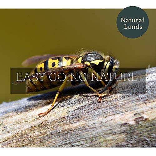 Easy Going Nature de VARIOUS ARTISTS en Amazon Music Unlimited