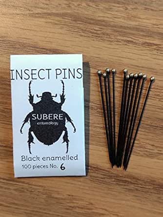 Subere Entomology Insect Mounting Pins 100pcs Size 6 : Amazon.co.uk ...